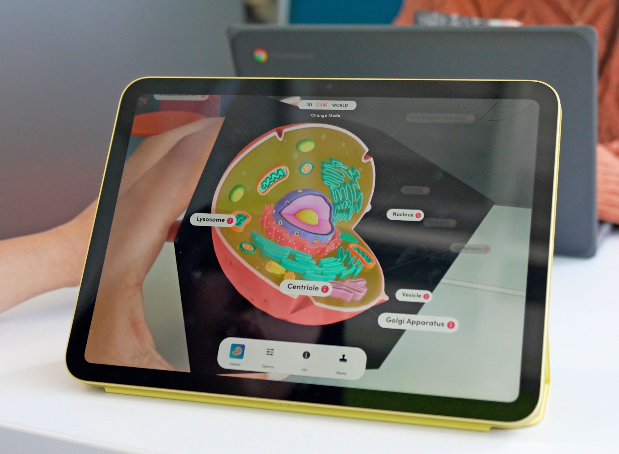 Enhancing Biology Lessons: Using a Merge Cube to Learn about Cells in ...